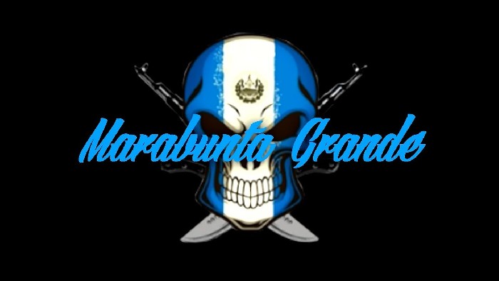 Rejected - MG13 OG Bewerbung | Grand Role Play | Forum